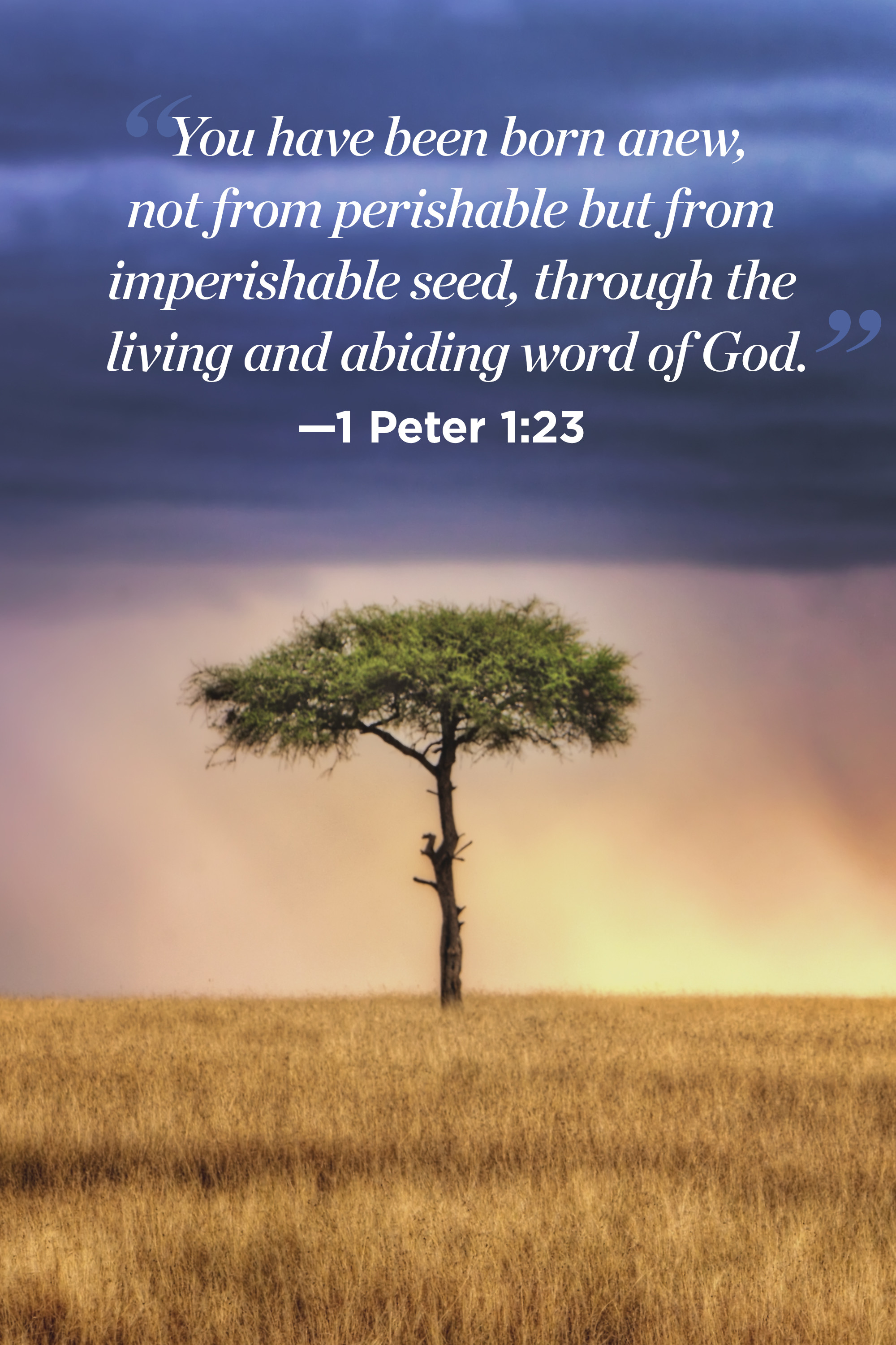 26 Inspirational Bible Quotes That Will Change Your Perspective On Life 