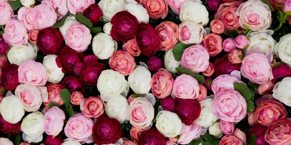 The Meaning of Every Rose Color - Valentine's Day Flowers
