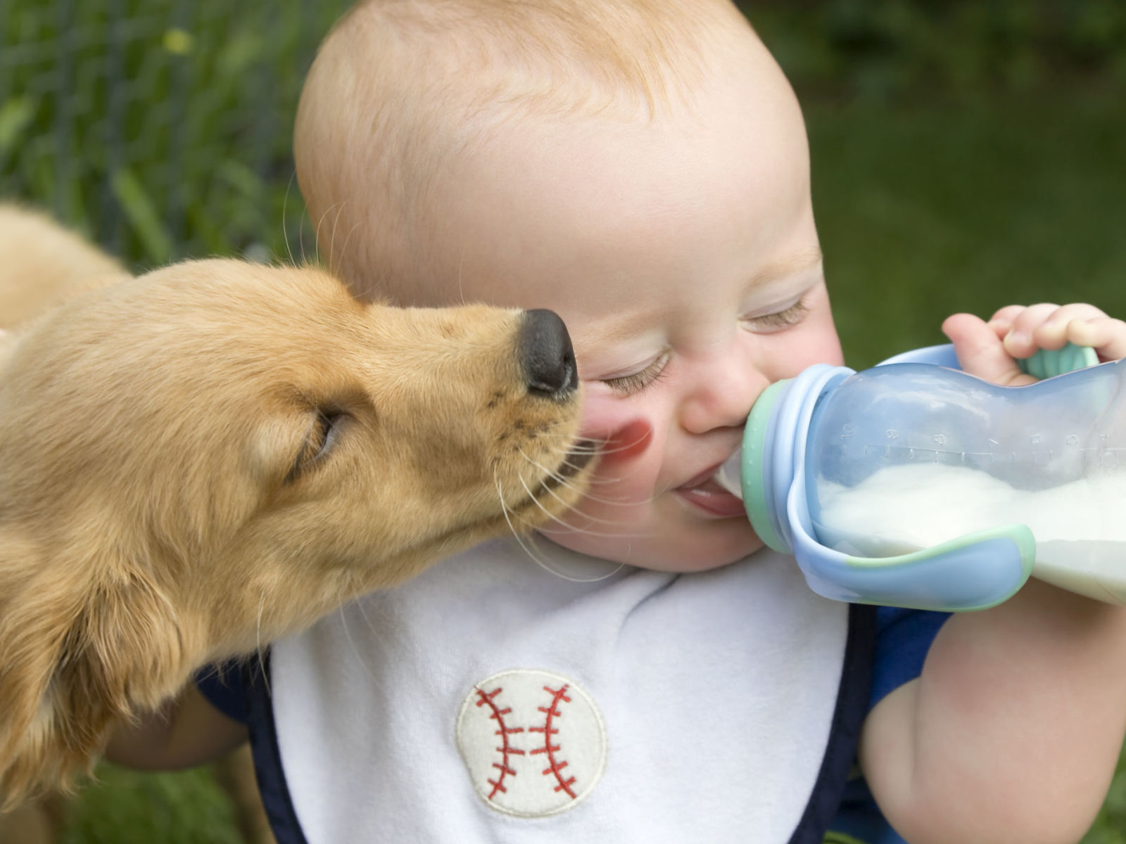 Can Dogs Tell Babies Are Babies
