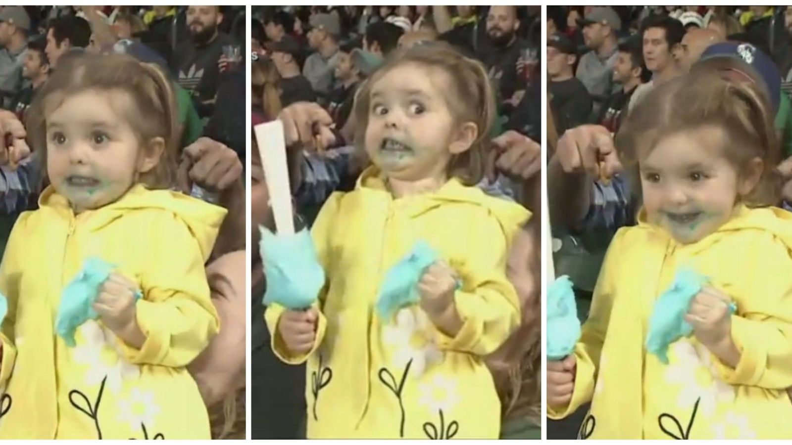Excited Little Girl With Cotton Candy
